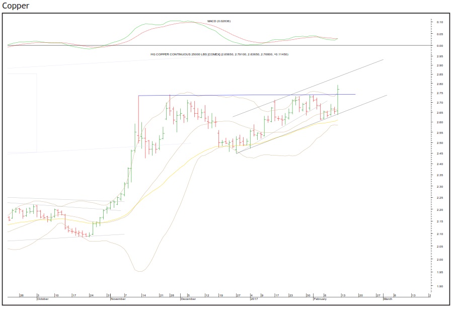 Comex Copper Bulls take charge