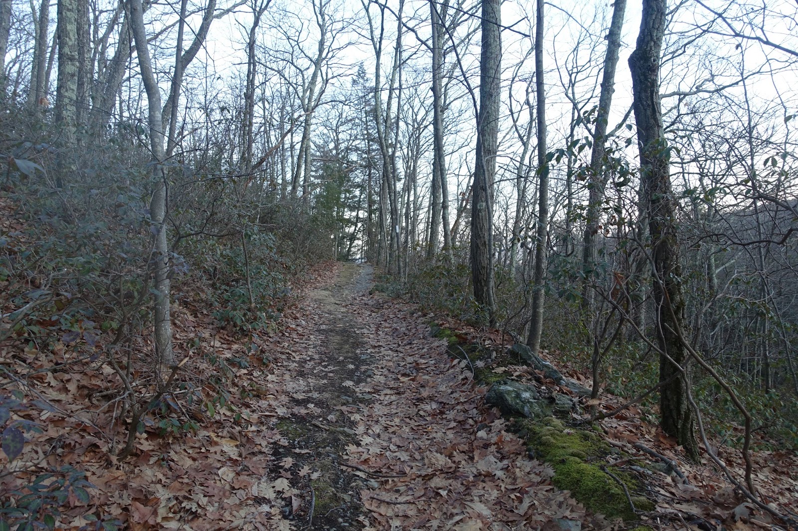 Of Rock & Riffle: A Monumental Mid-Winter's Day in a Deep, Dark Ravine