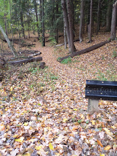 Mitten Tracks: Murphy Lake State Game Area, part two: Murphy Lake Rd ...