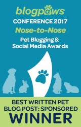 The Chronicles of Cardigan: Dog Hair Explosion Part II: Why the World ...