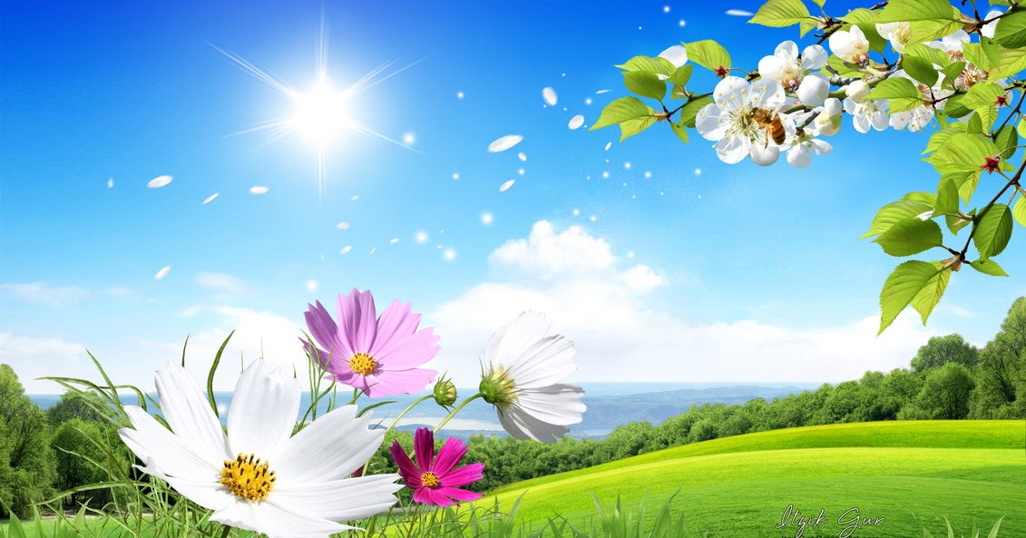 alternatehistorypt: Feliz Primavera! / Happy Spring!