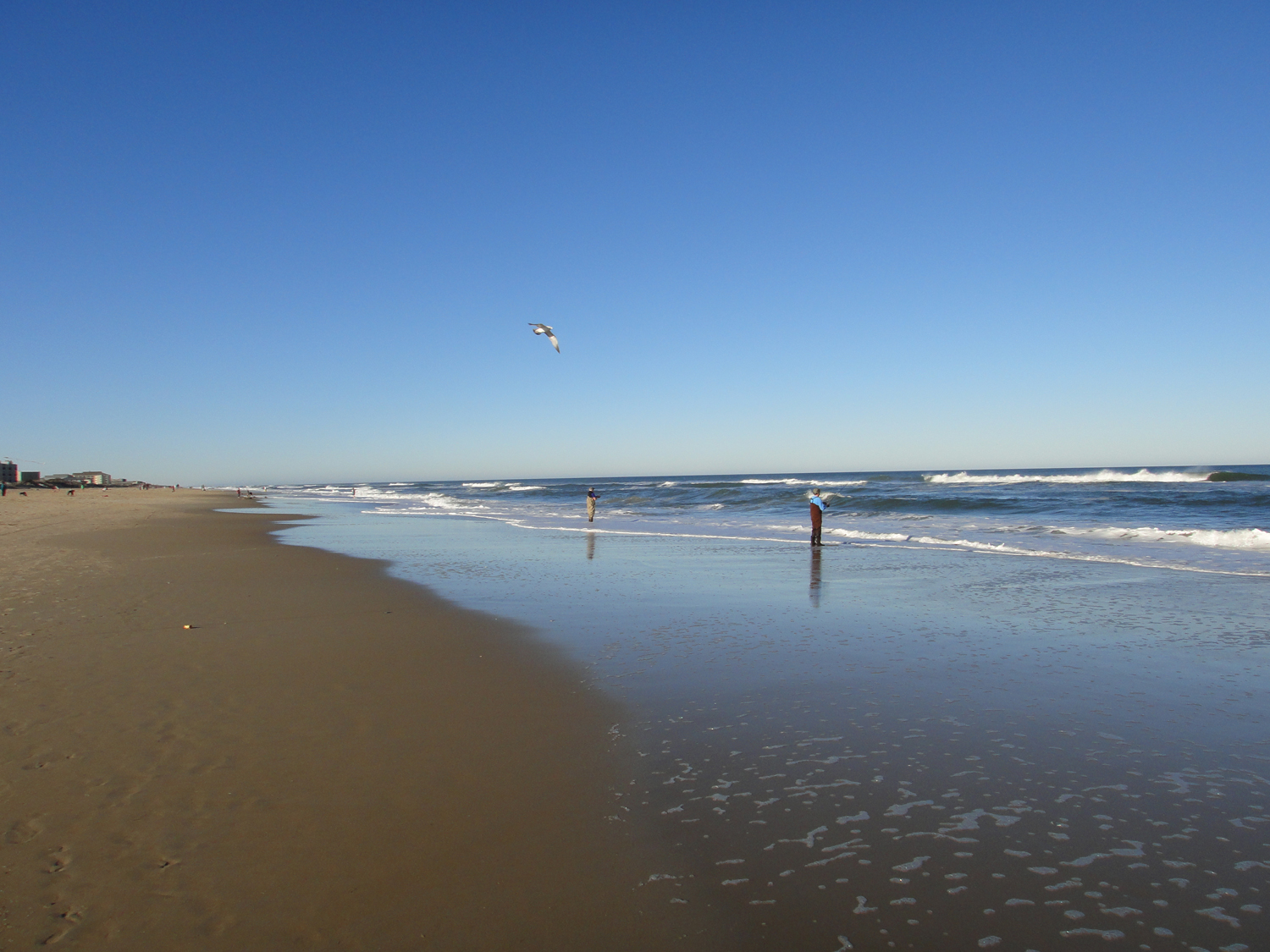 Japanese Temari: Outer Banks Color Palette