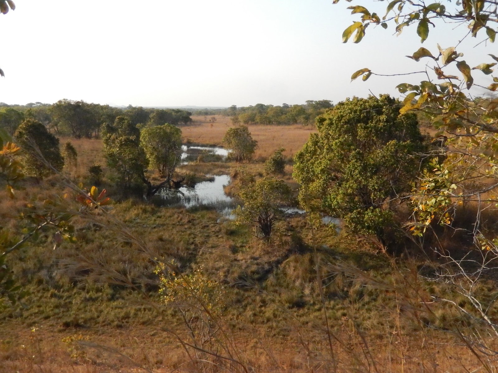 Leo in Malawi: Kasungu National Park - Surrounding