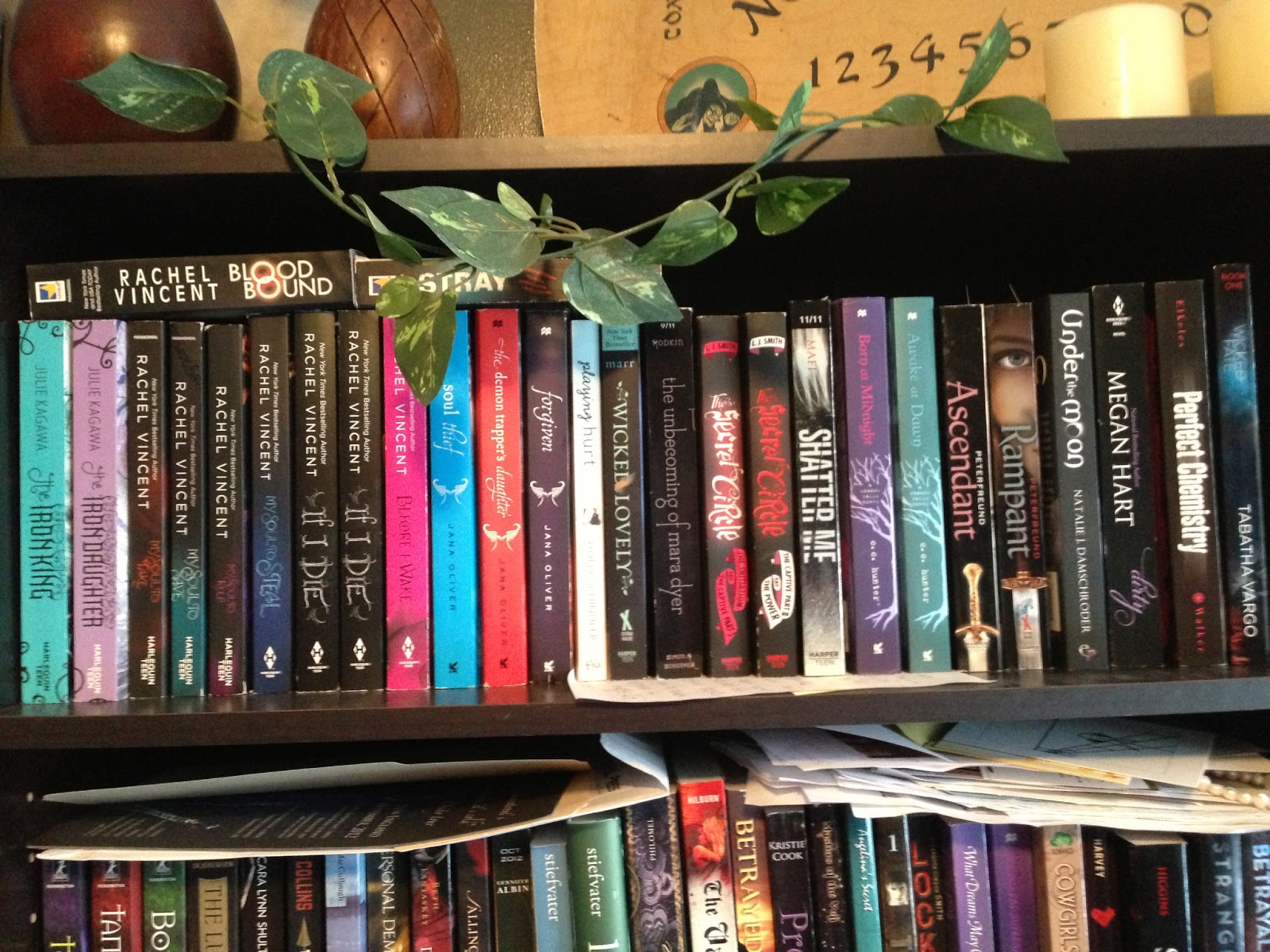 YA Fusion: My Bookshelf Brings All the Boys to the Yard...