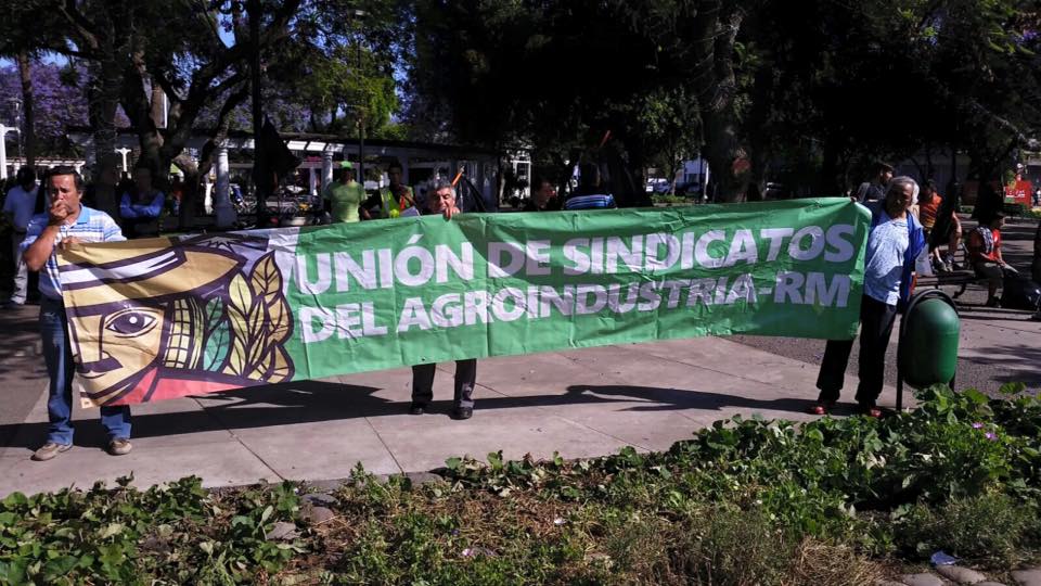 Fel Sociales: ¿Que es la Izquierda Libertaria?
