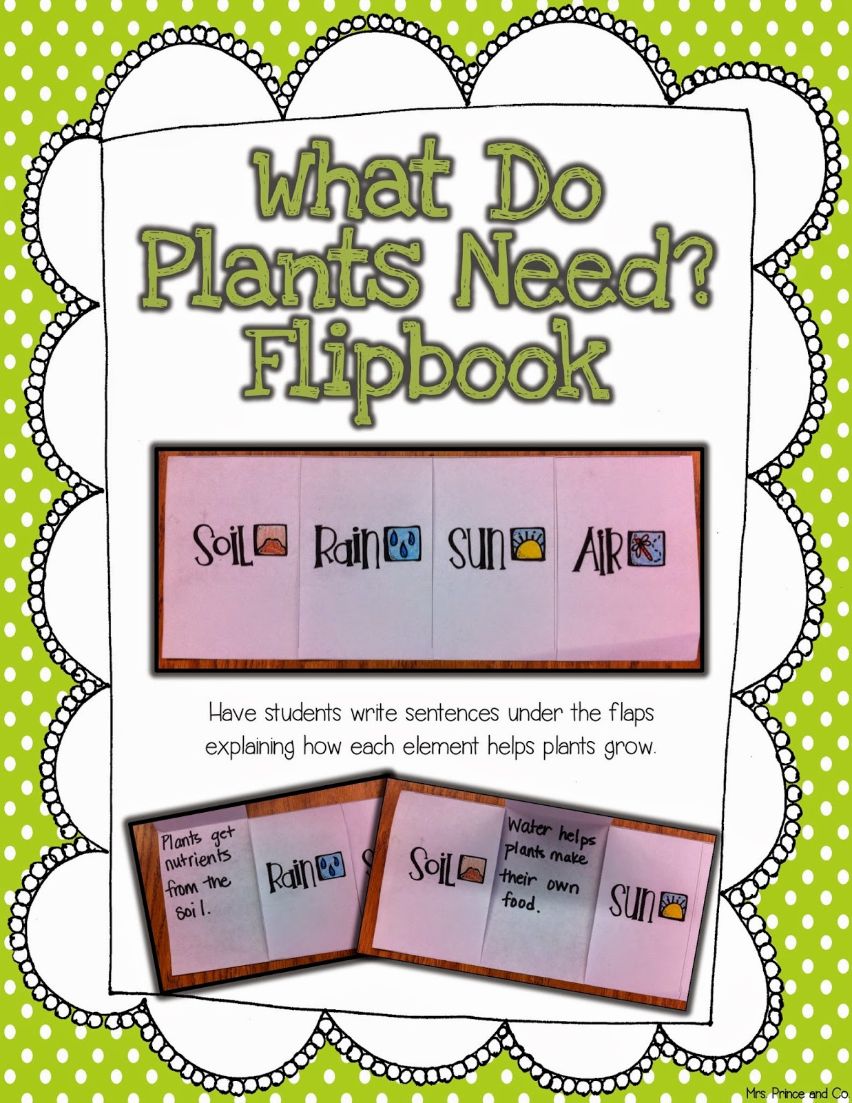 Mrs. Prince and Co.: My Favorite Science Unit