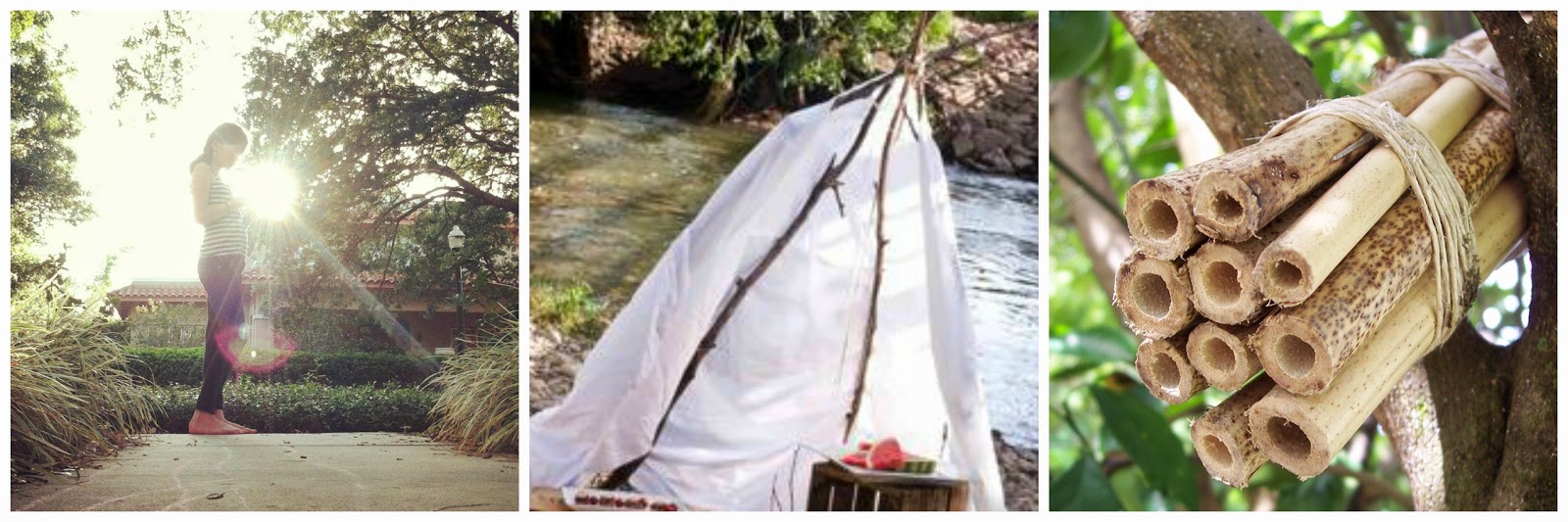 A Natural Nester: At-Home Summer Nature Camp eGuide