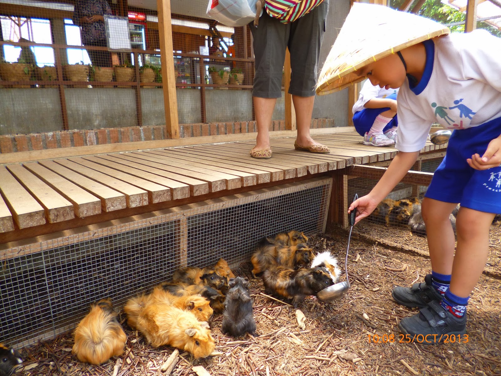 Saraswati Preschool: Caring for Animals