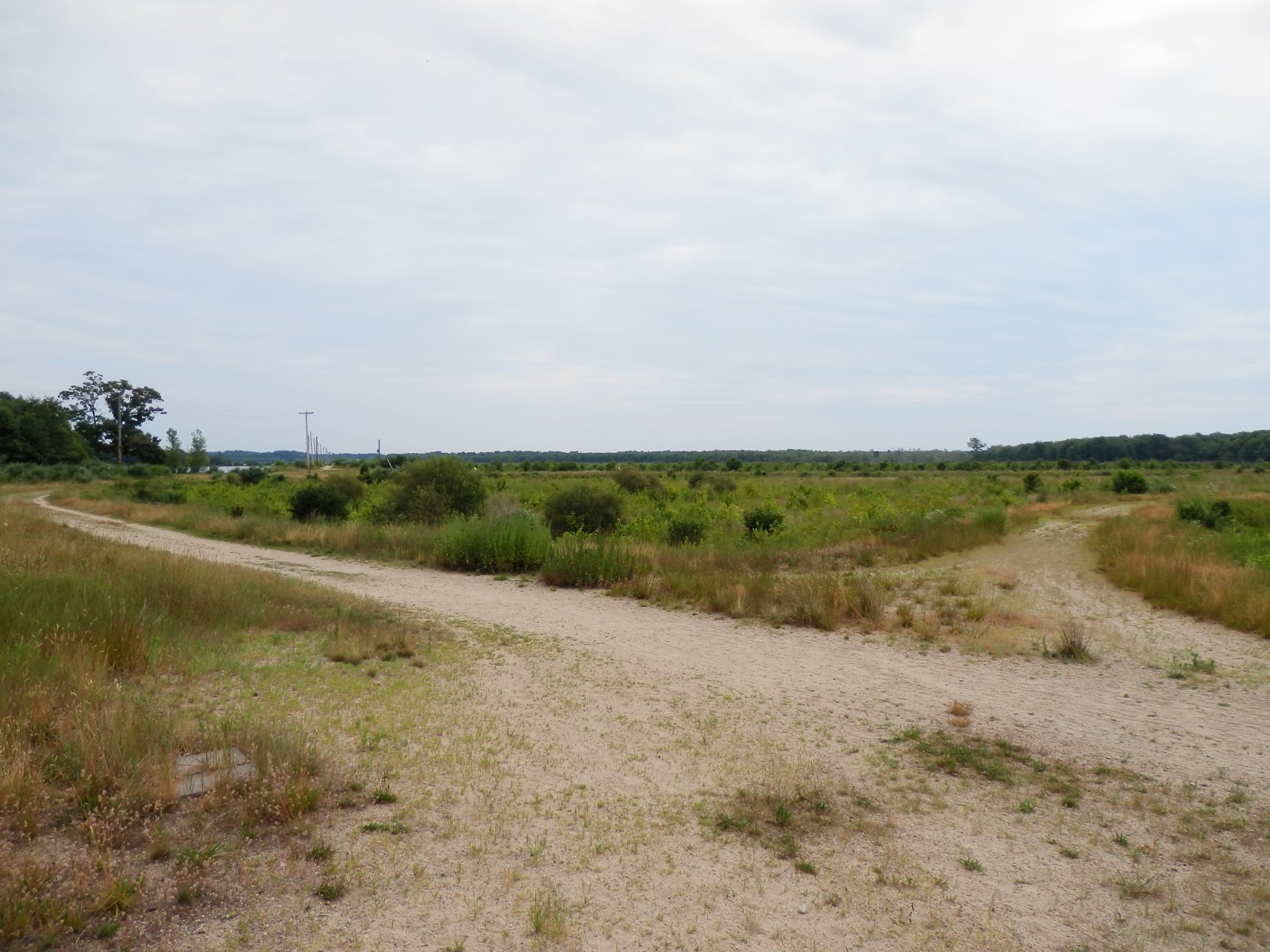 Hike Plymouth and Beyond!: Burrage Pond Wildlife Management Area Hanson ...