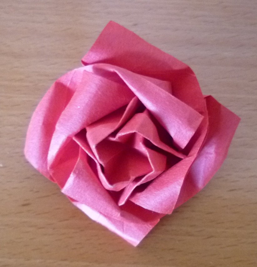 F. ZIEGLER : Origami à Nancy et autres billevesées: Makoto Rose