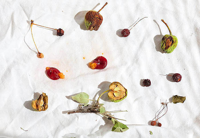 milkwithtea: Greg Friedler