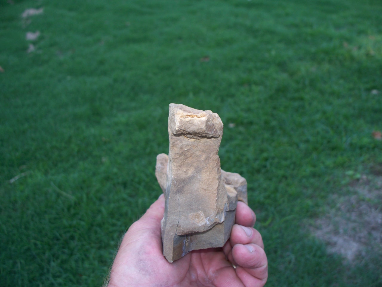 Archaeology of Portable Rock Art: A floating water bird sculpture and ...