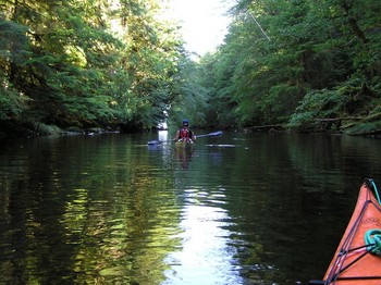 Haida Gwaii Tourism: Kayak Haida Gwaii!