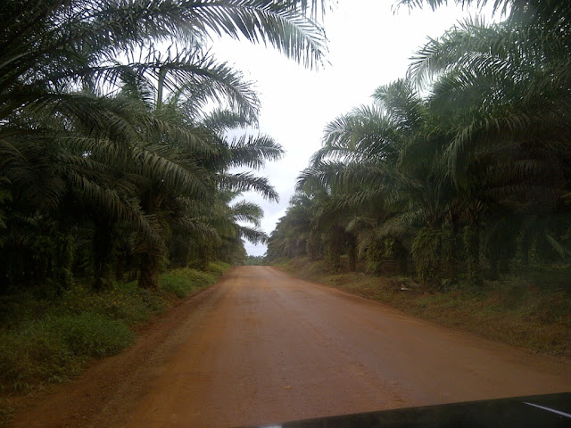Kota Merauke ~ Bumi Nusantara