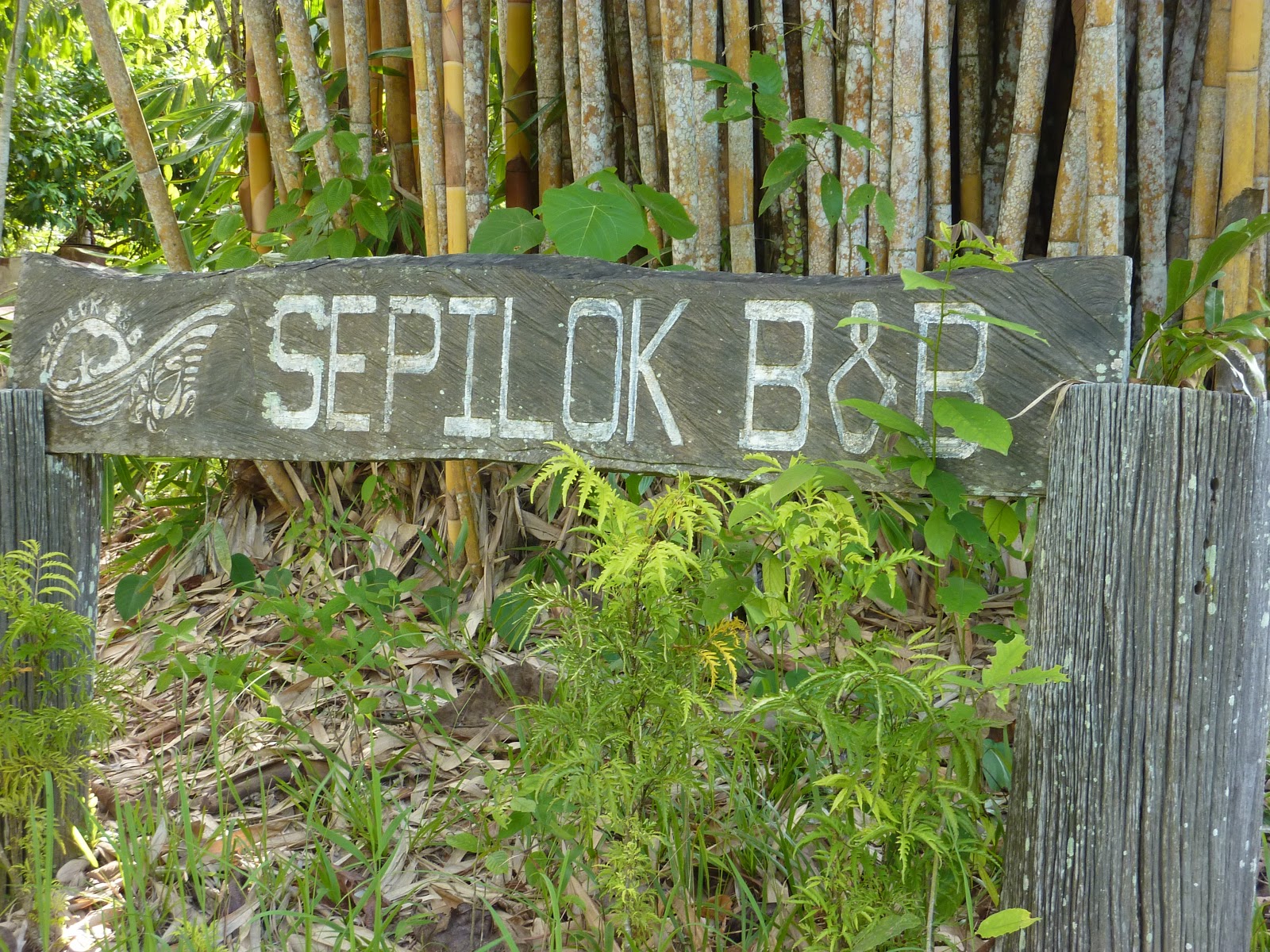 Charlie and Mel Schofield-Hindley's tales of adventure