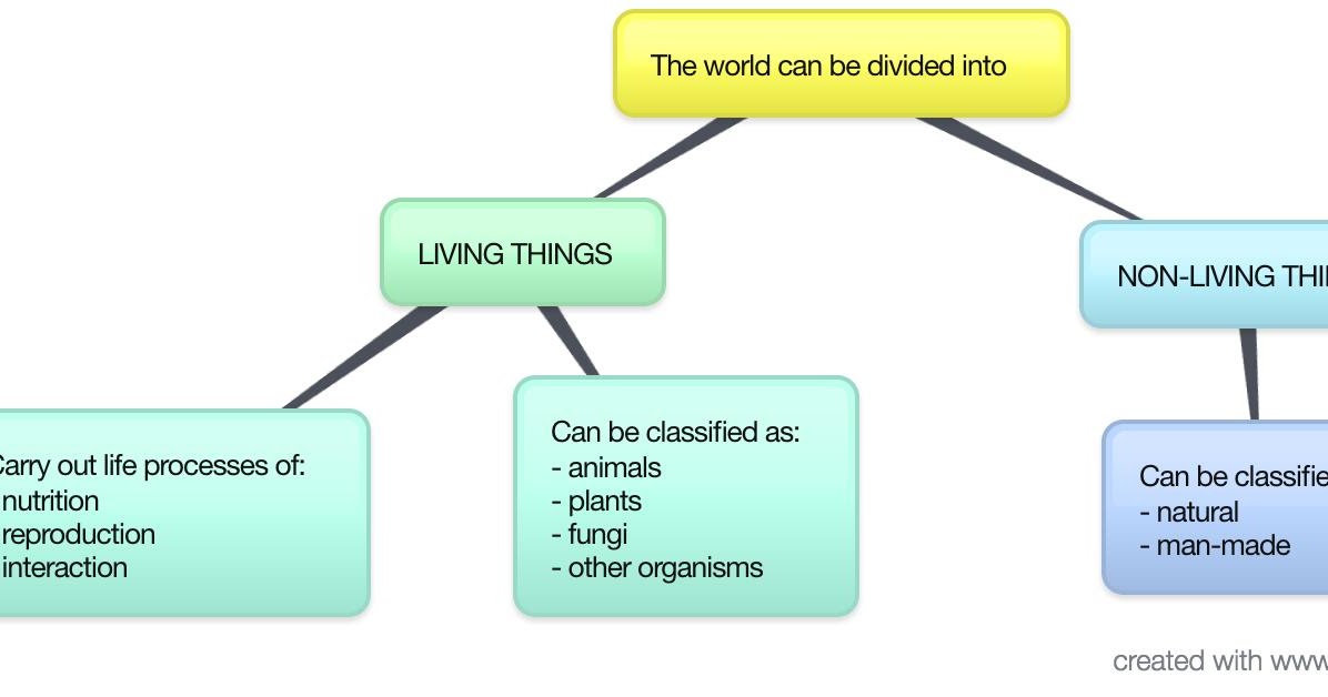 Third Grade Miróbriga: Living things (important facts)