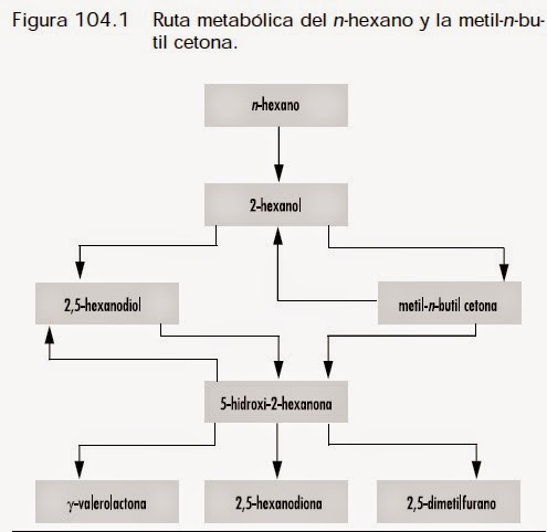 Riesgos El n-hexano (IV) | Guia de Productos Quimicos