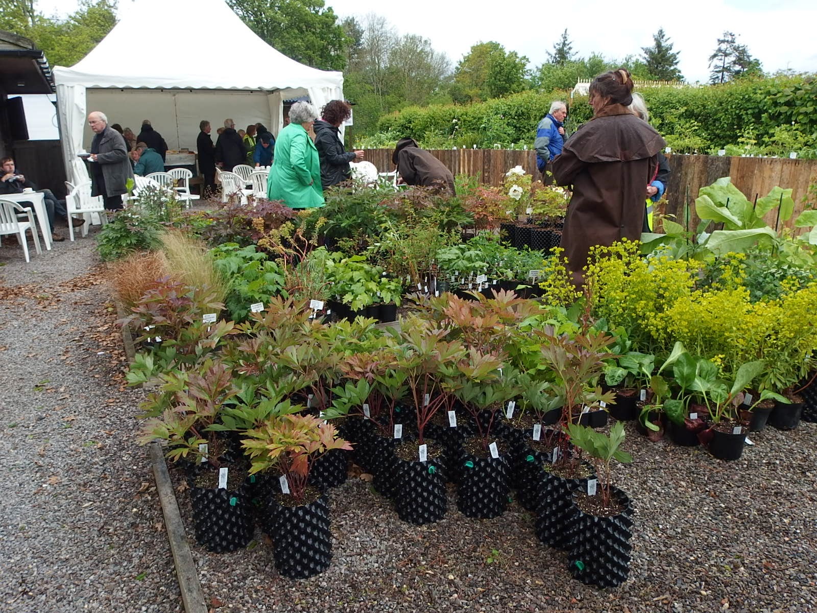 Evolution Plants Open Day