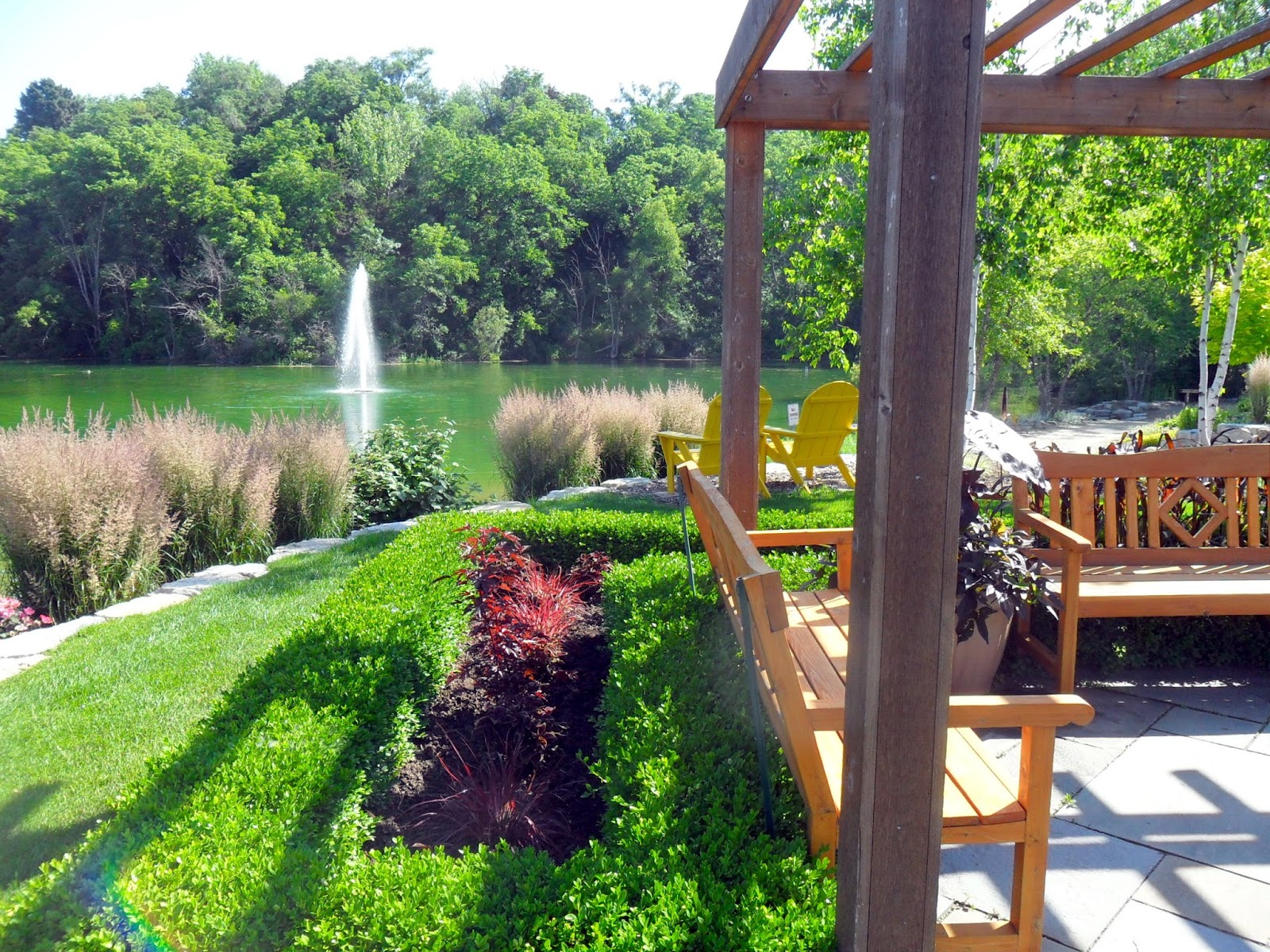 Backyard Patch Herbal Blog: Traveling to Janesville, WI and the Rotary ...