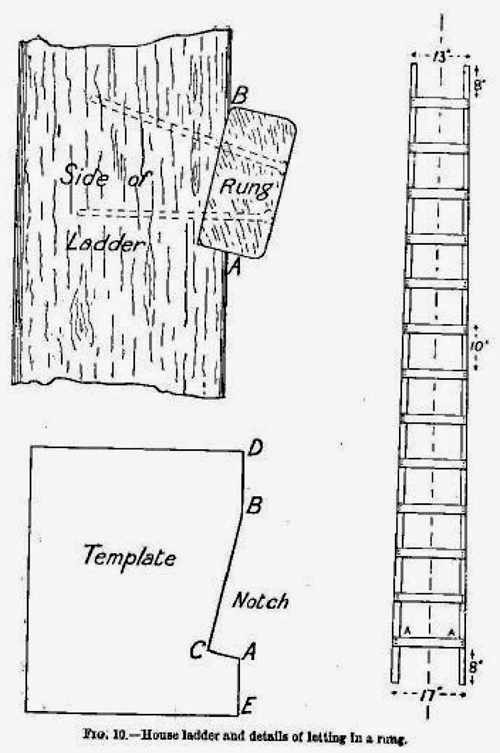Anatomy Of Human: How to Build a Ladder Home Projects