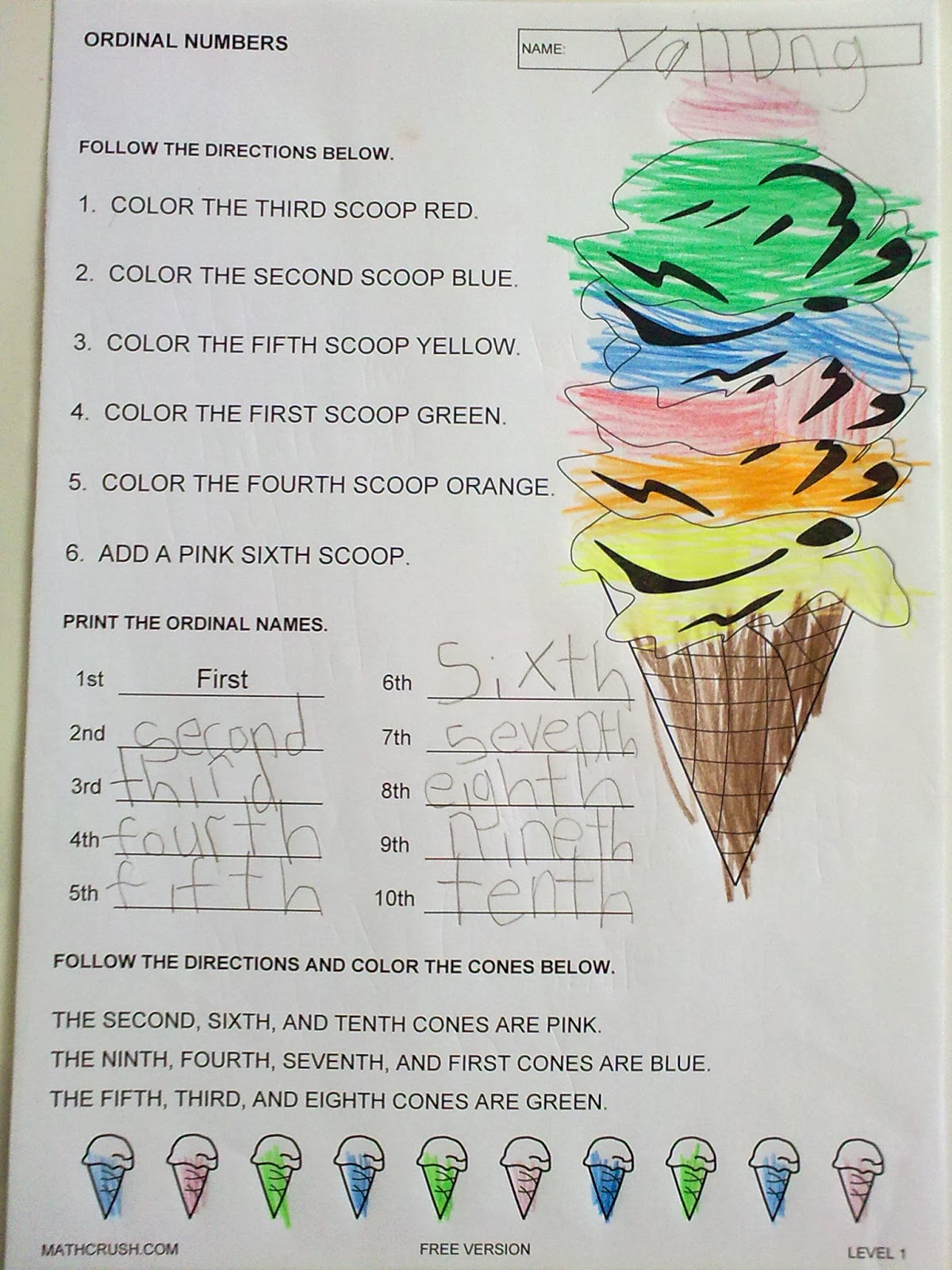 A working queen bee: Home teaching - Comet's nine life