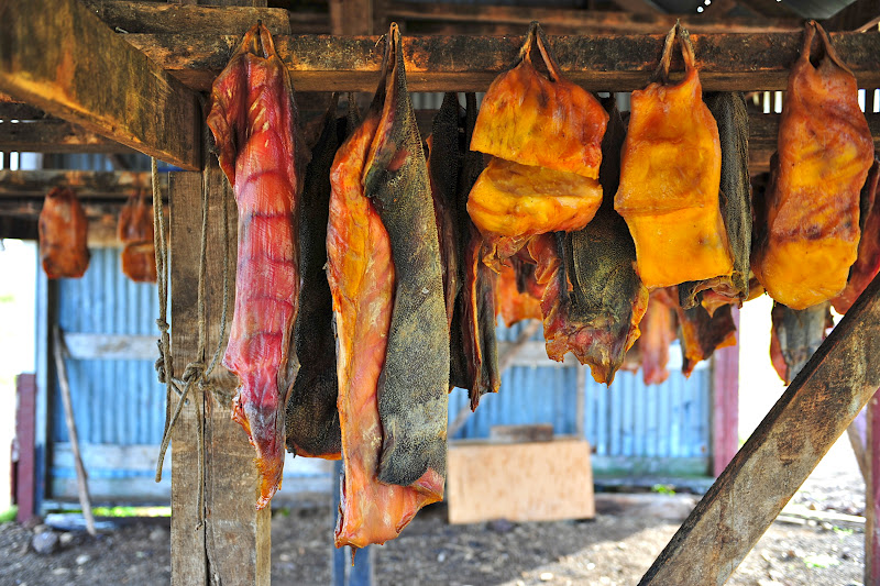 Merlin and Rebecca: A Rotten Bite of Iceland