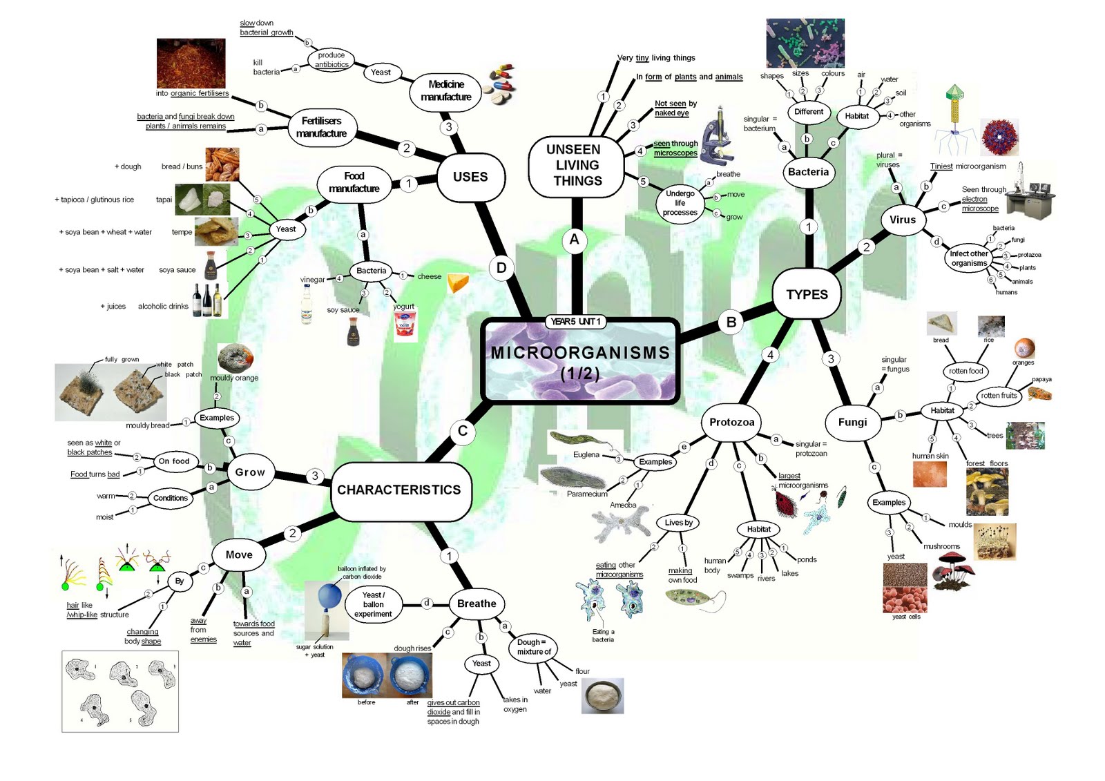 Learning Science Is Fun: Mind Maps