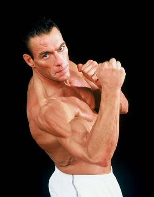 van-damme+muscles.jpg (500×636) | Van damme, Jean claude van damme ...