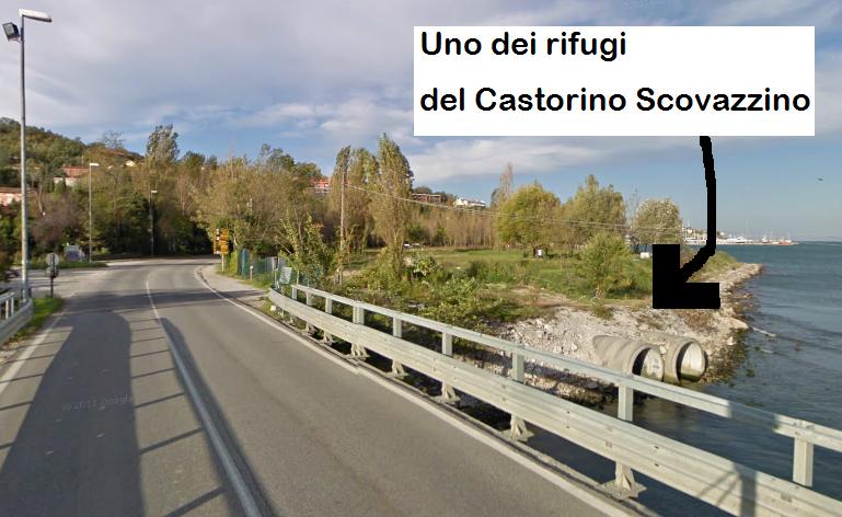 TRIESTE PATOCA: IL CASTORINO SCOVAZZINO DI RIO OSPO!