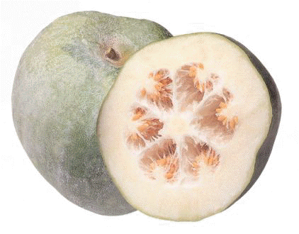 Caraka Purwo Wibisono: Mengenal manfaat dan khasiat buah kundur atau beligo