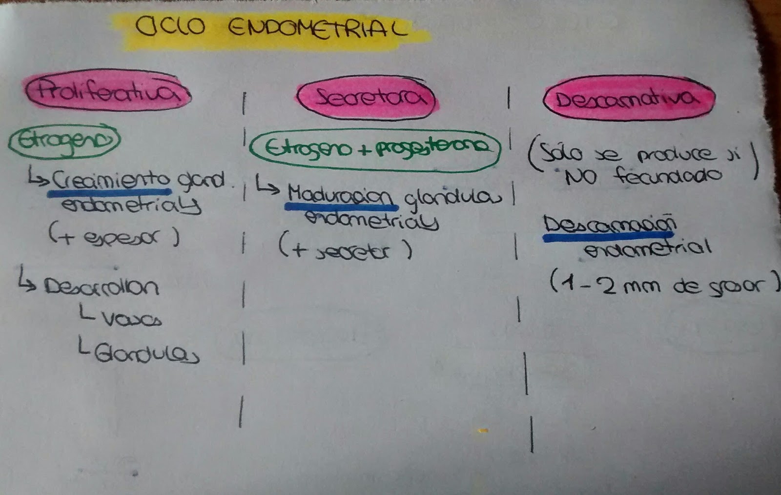Cómo sobrevivir al EIR: Esquemas Maternal