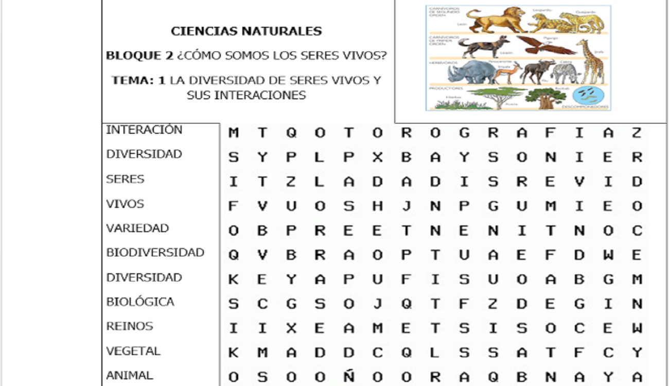 Sopas de Letras Temáticas del Bloque 2 de Primaria | Planeaciones Gratis