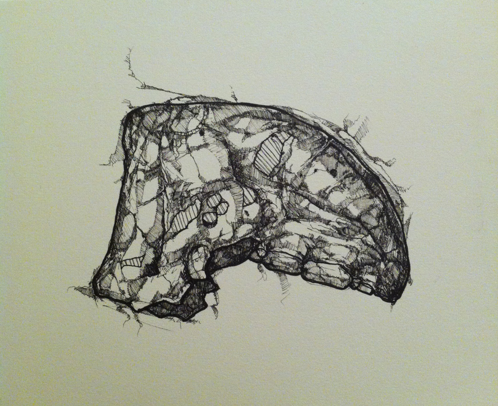 This and That - News and Updates From Artist Jon Shaw: Crustaceans, Ink ...