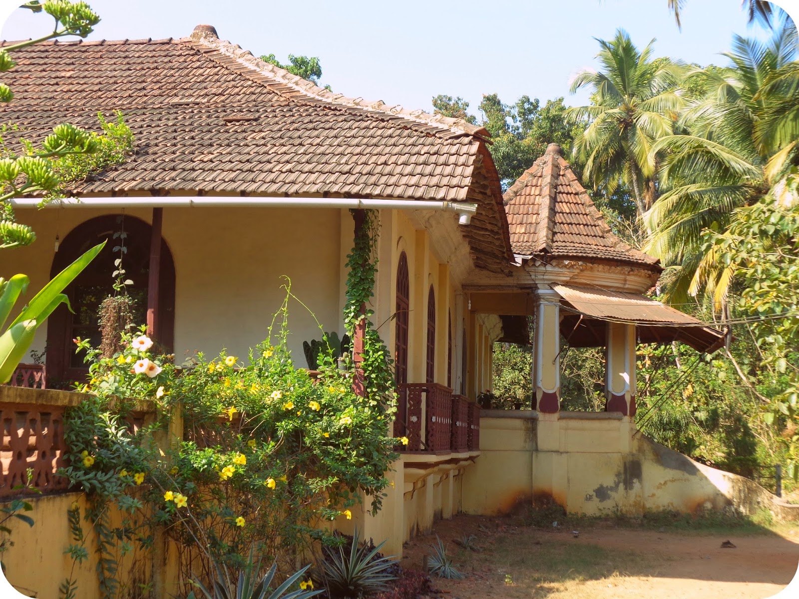 Vintage Vixen: Viva Goa! Adventures In Goa & Beyond