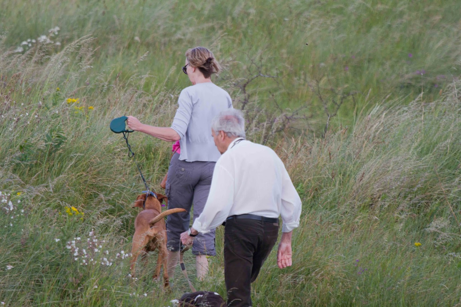 Druridge Diary: Wader clear-out