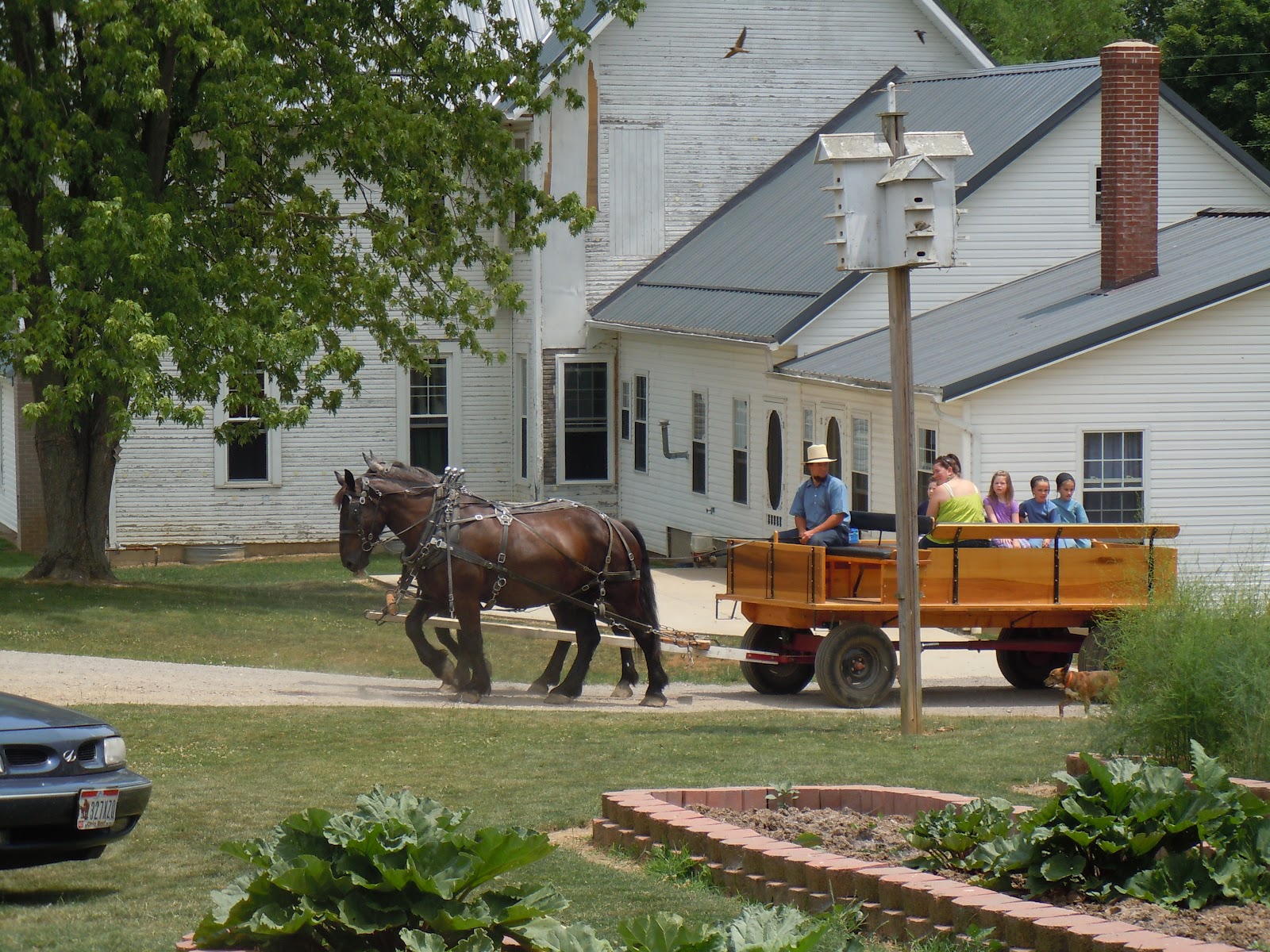 Aurora Blythe: Barn Tour