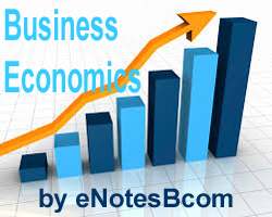 Business Economics Notes