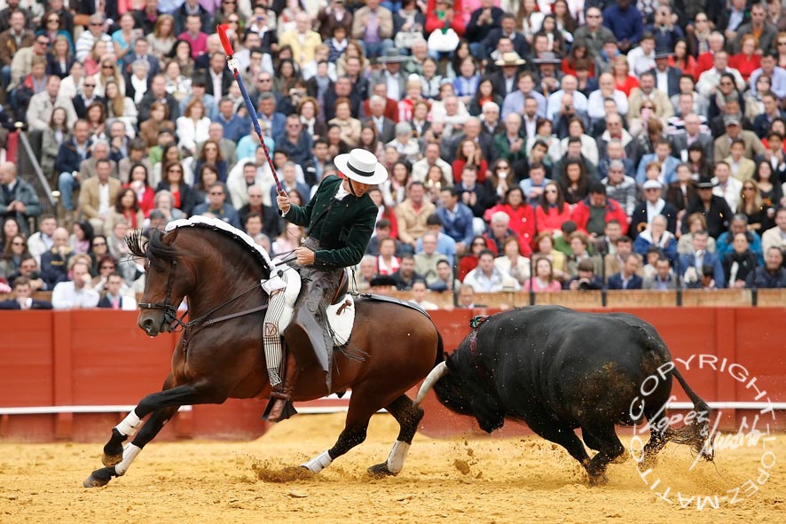El Paseillo: Galeria de Rejones