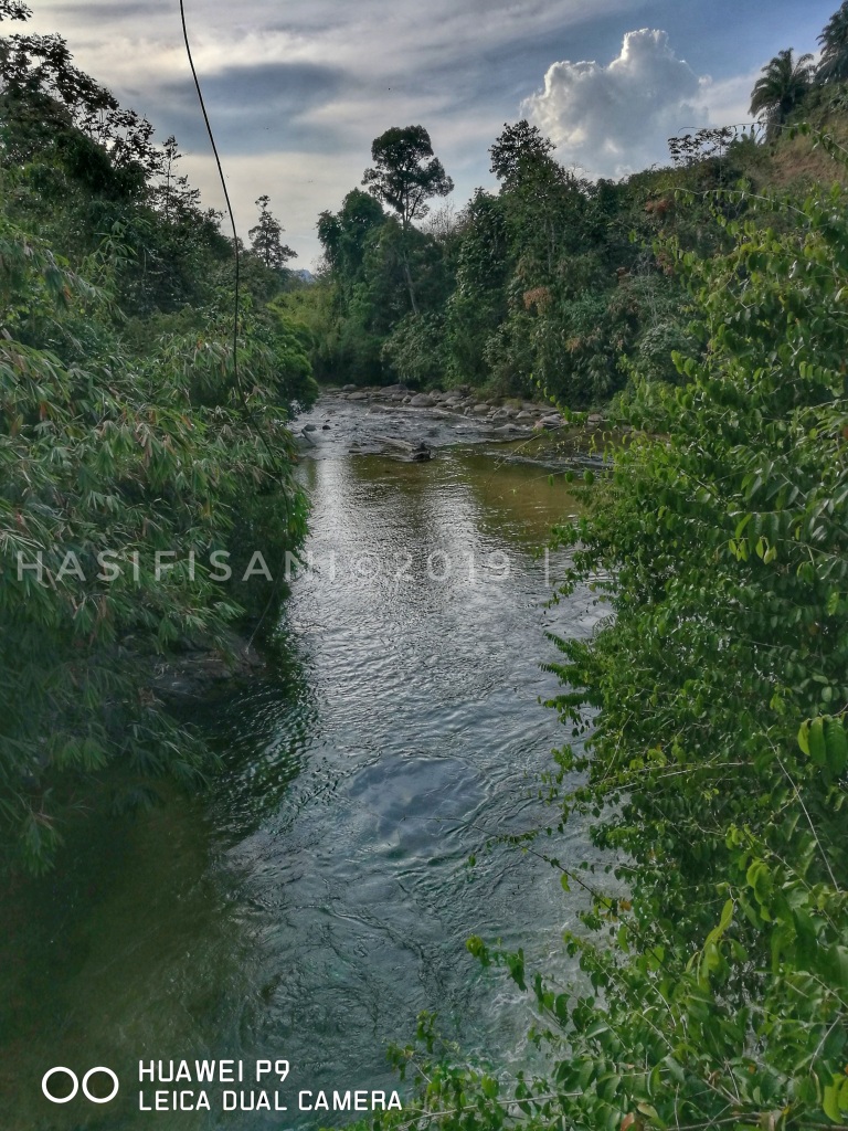 Pos Kuala Mu | kucing baca kitab