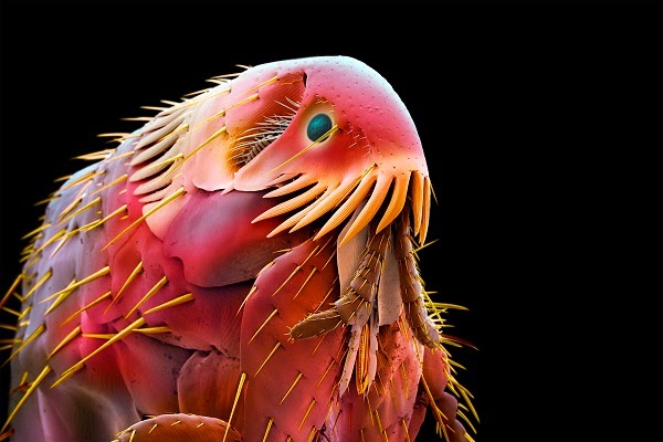 New Day New Page: FERNBANK MUSEUM OF NATURAL HISTORY EXPLORES MYSTERIES ...
