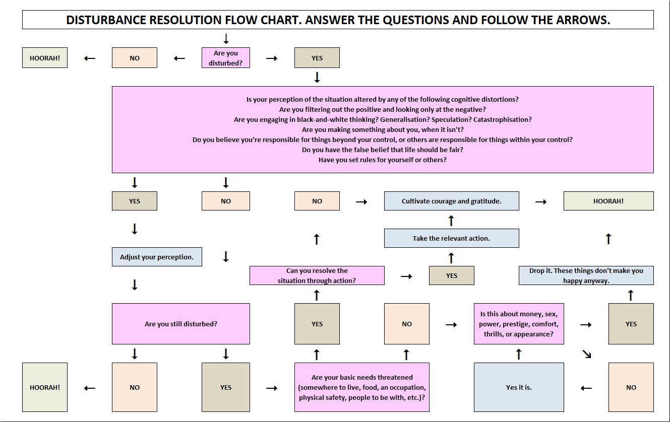 Disturbance resolution flow chart