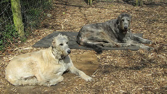 Circle of the Year: The Folk Park - Part Two