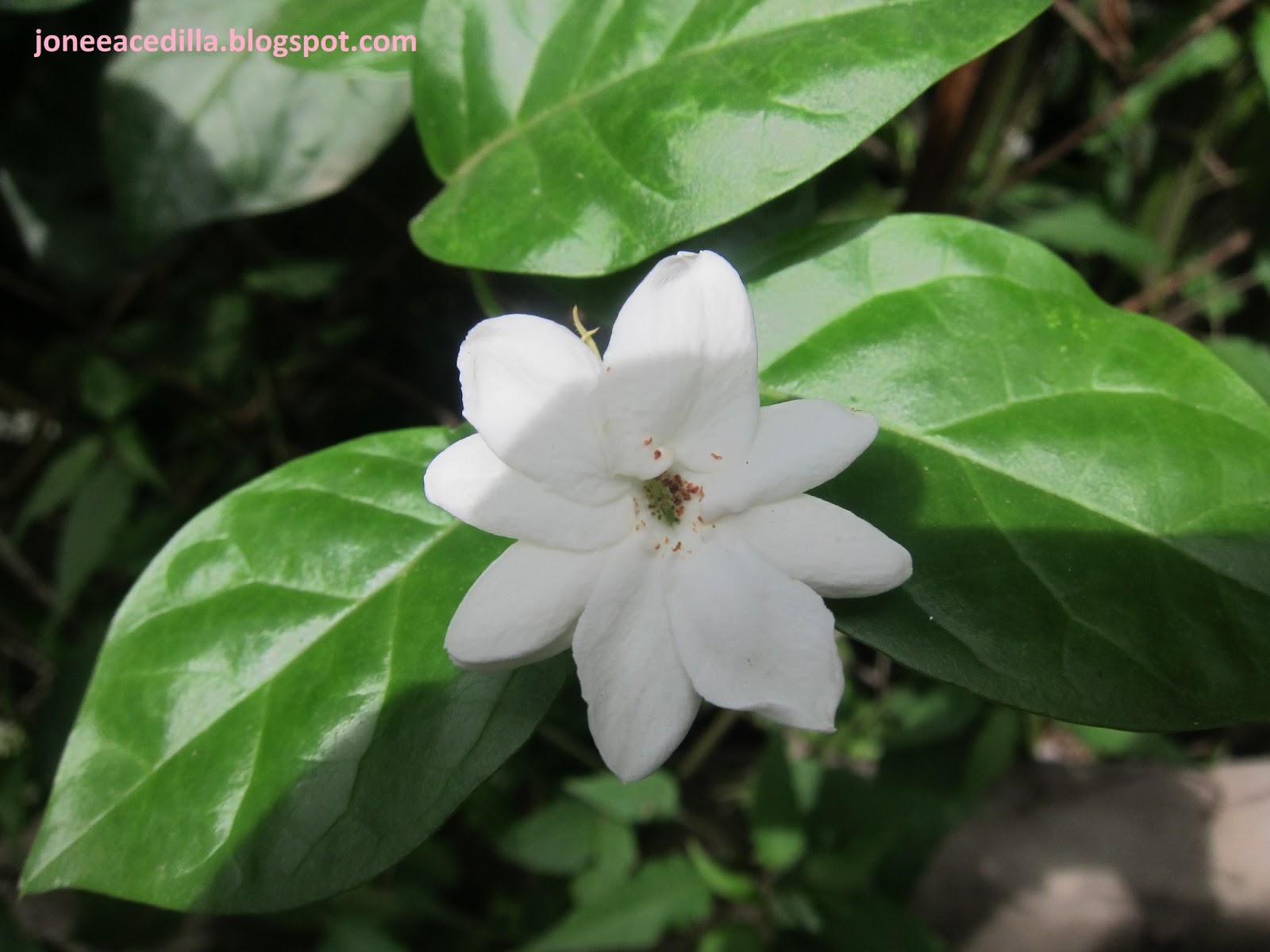 travel and leisure: Leisure 2: Photography