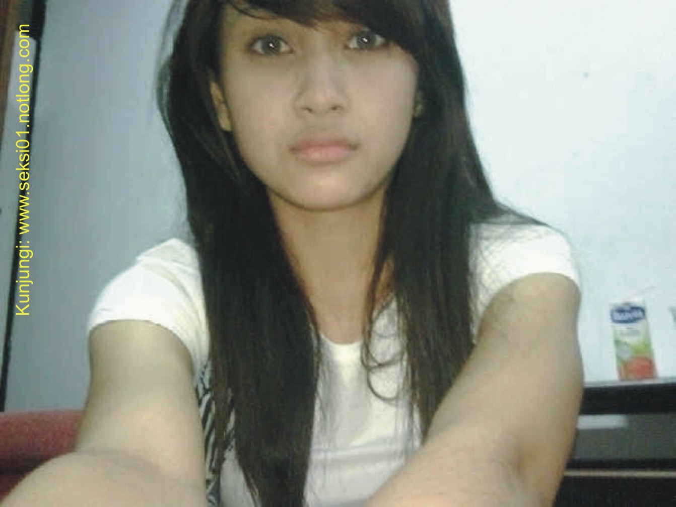 SEKSI ...Semua yang SEKSI terpilih,..ada disini: SEKSI 08