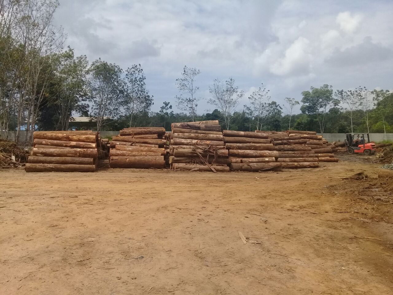 Kumpulan Dokumen Dan Surat Menyurat: Proses Pembuatan Plywood / Triplex ...