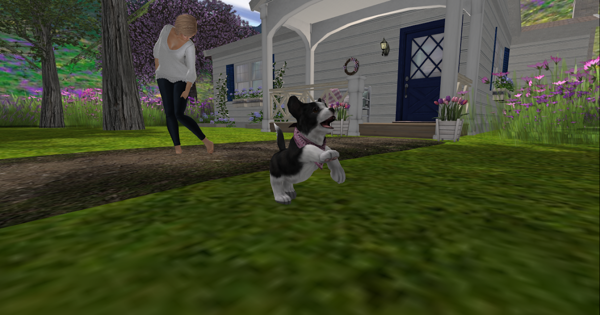 Watch this Virtual Space: Fast post about Second Life Pets