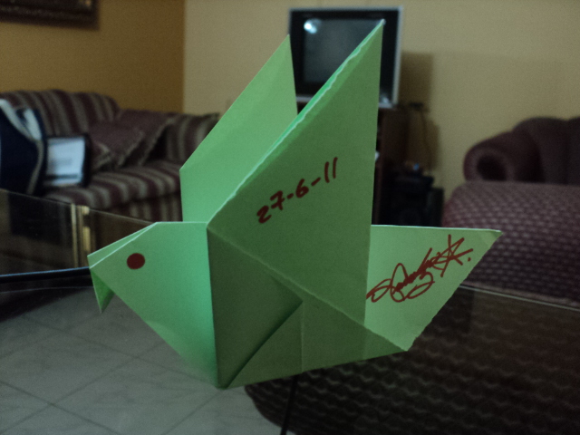 Un poco de mi mundo... Origami: Perico