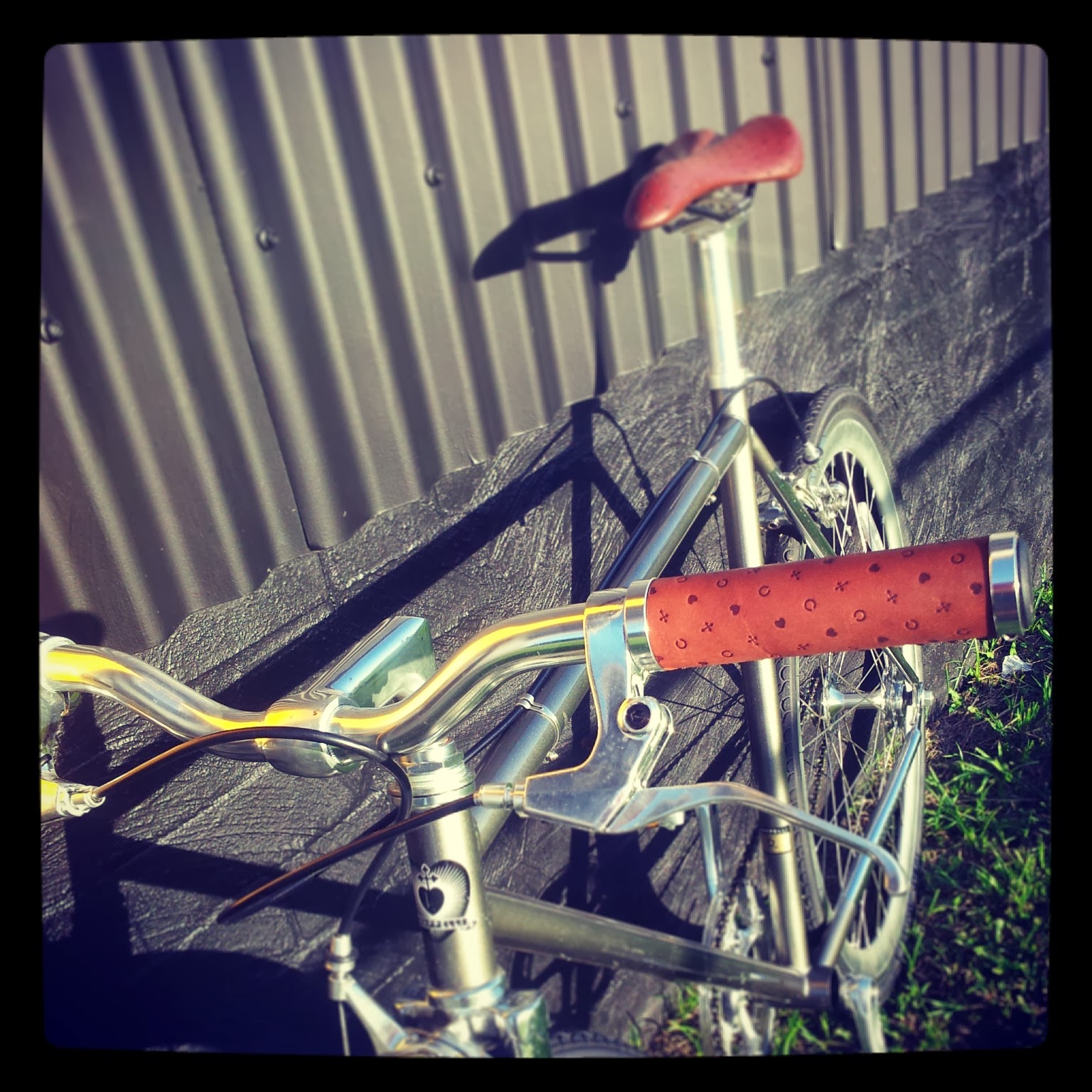 Chappelli Update - SSGC