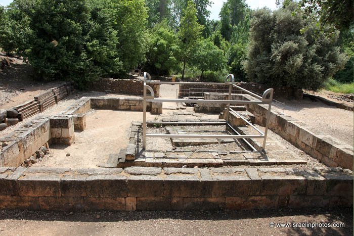 Travel | Flowers in Israel: Tel Dan