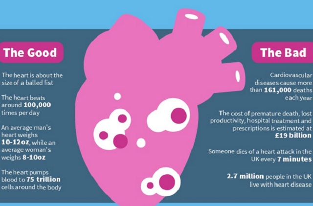 Love Your Heart - Keep It Healthy [Infographic] - Visualistan